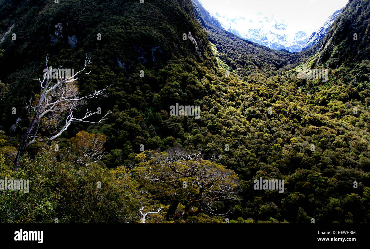 Modern image captured using hi-res stock photography and images - Alamy