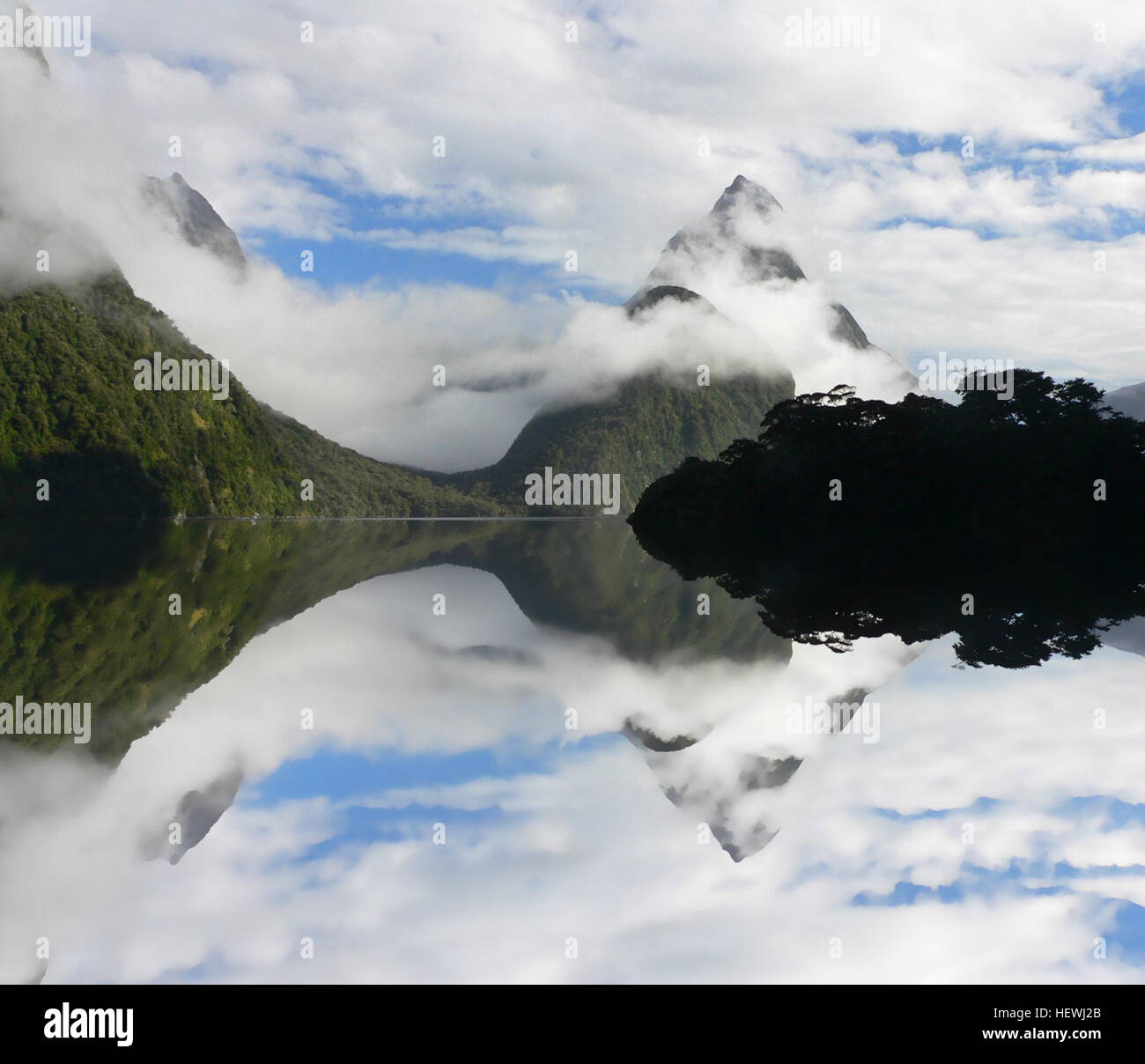 Photography captures moments emotions hi-res stock photography and ...