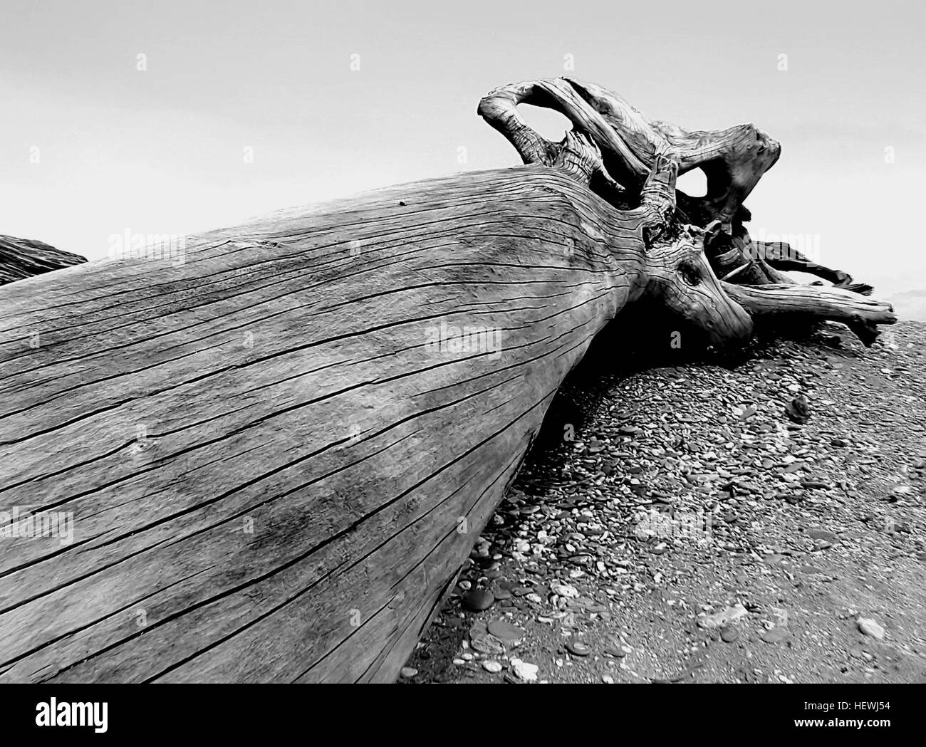 Camera tips Black and White Stock Photos & Images - Alamy