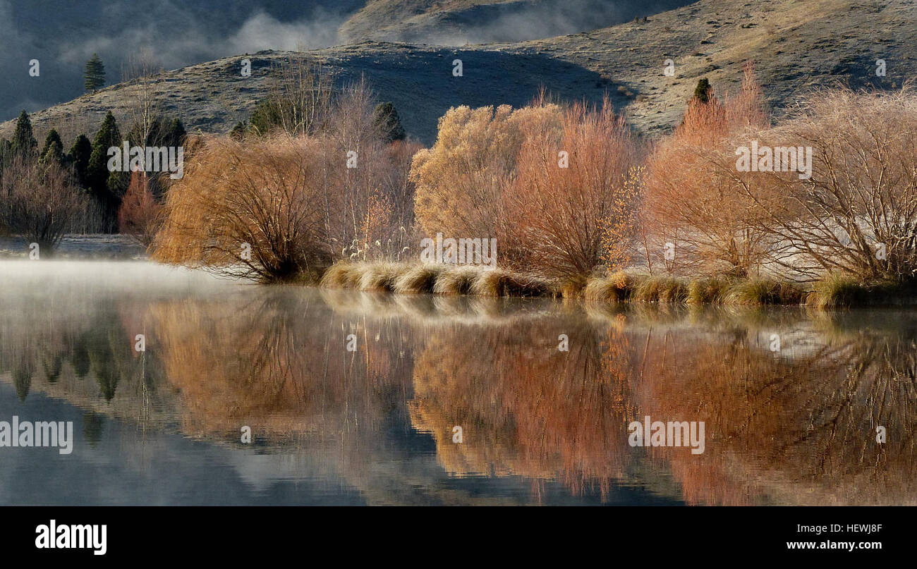 Photography captures moments, emotions, and scenes, providing a visual ...