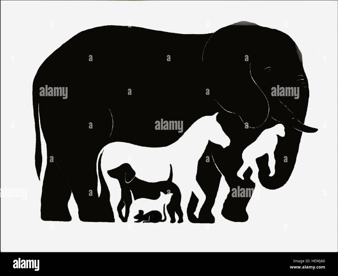 Puzzling World is a tourist attraction near Wanaka, New Zealand. It ...