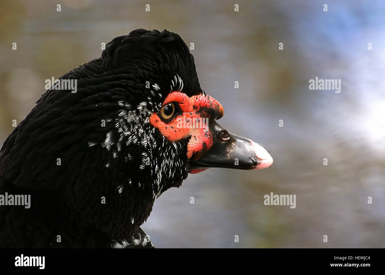 A diverse photography collection that highlights the power of visual ...