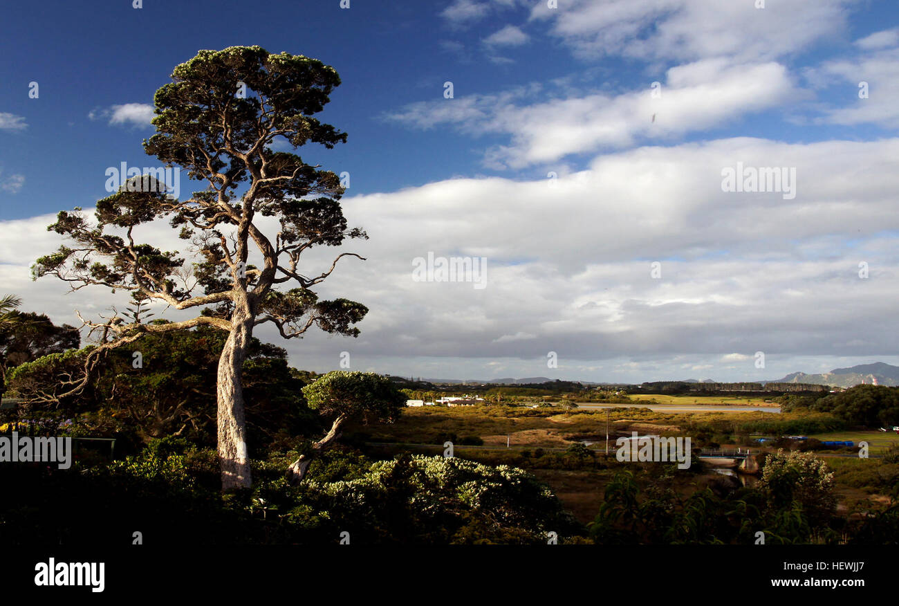 Ruakaka is a small township in the north of New Zealand approximately ...