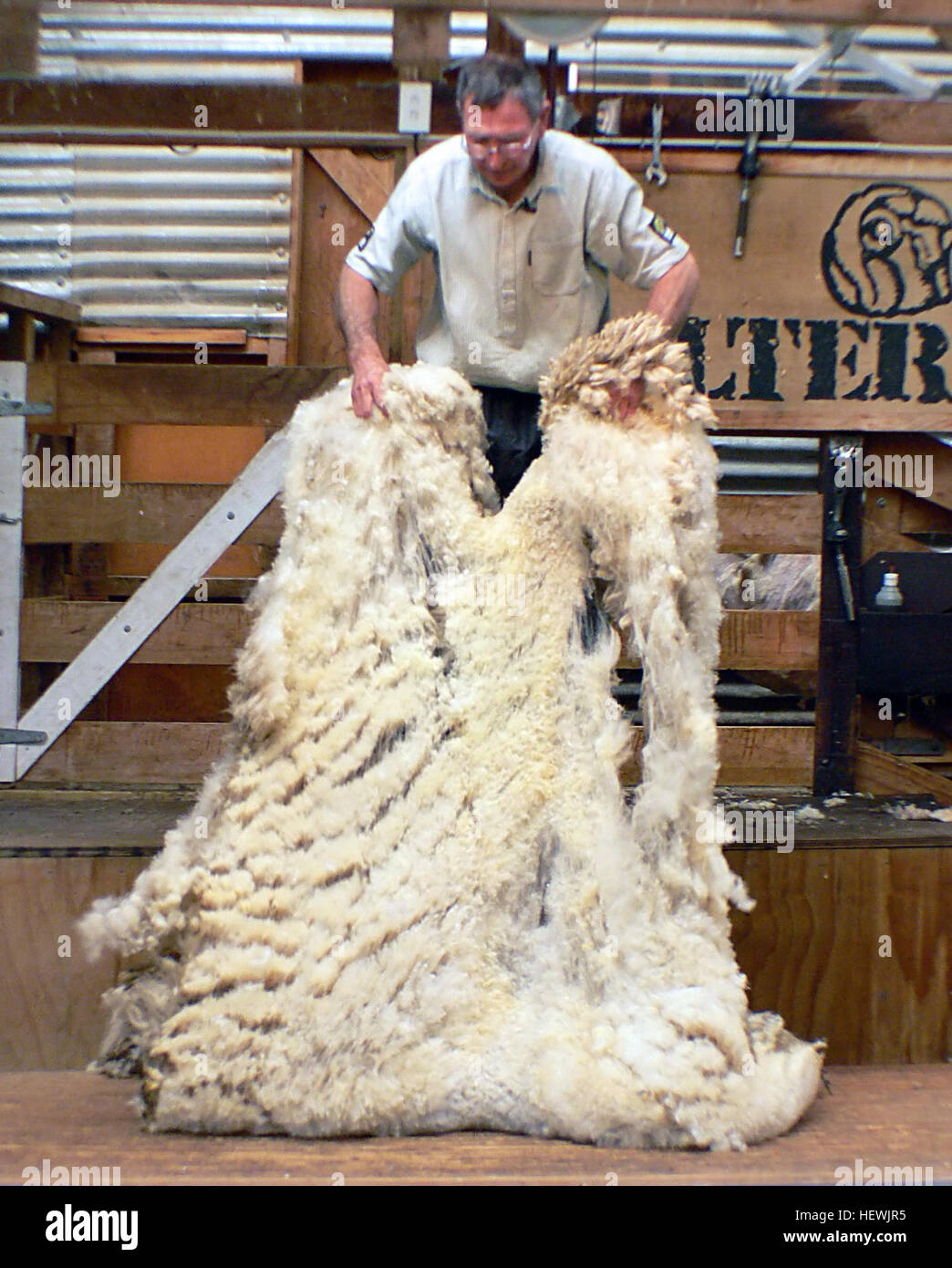New Zealand is known for its high-quality sheep fleece, a product of ...