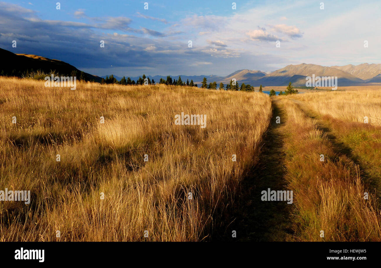 This photograph captures the stunning rural scenery of New Zealand ...