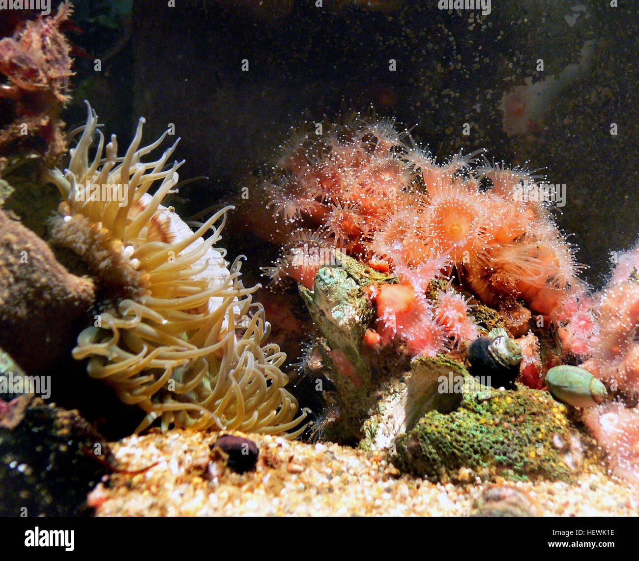 A broad category capturing various photographic styles, techniques, and ...