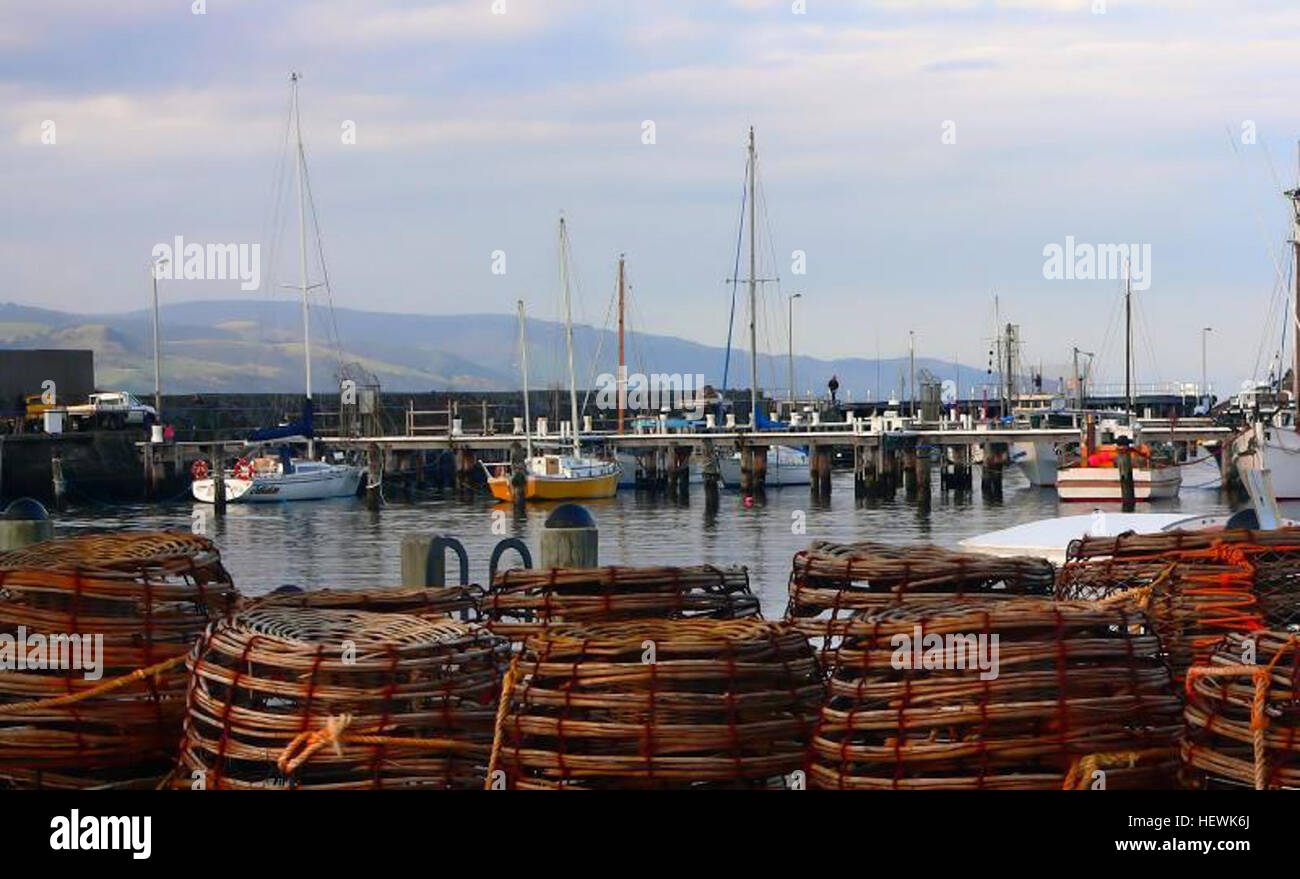 Photography is the art and technique of capturing images using cameras ...