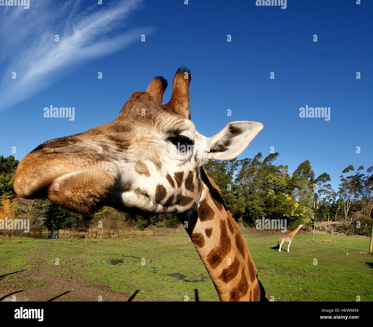 Sony photo hi-res stock photography and images - Alamy