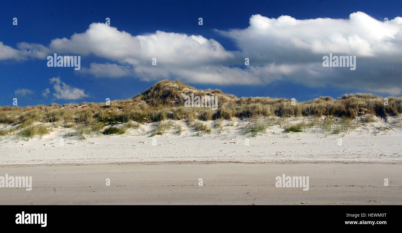 Bream Bay, located in New Zealand, is renowned for its stunning white ...