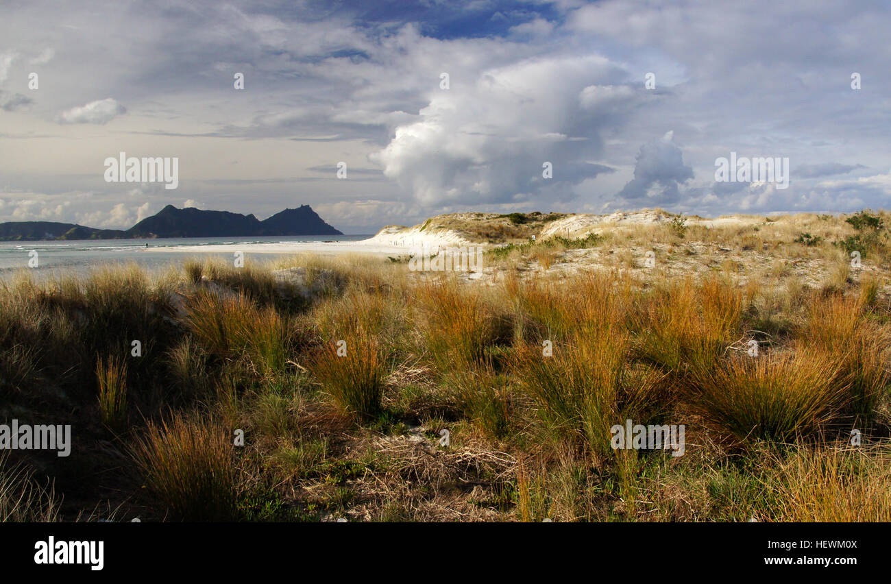 Whangarei beaches new zealand hi-res stock photography and images - Alamy
