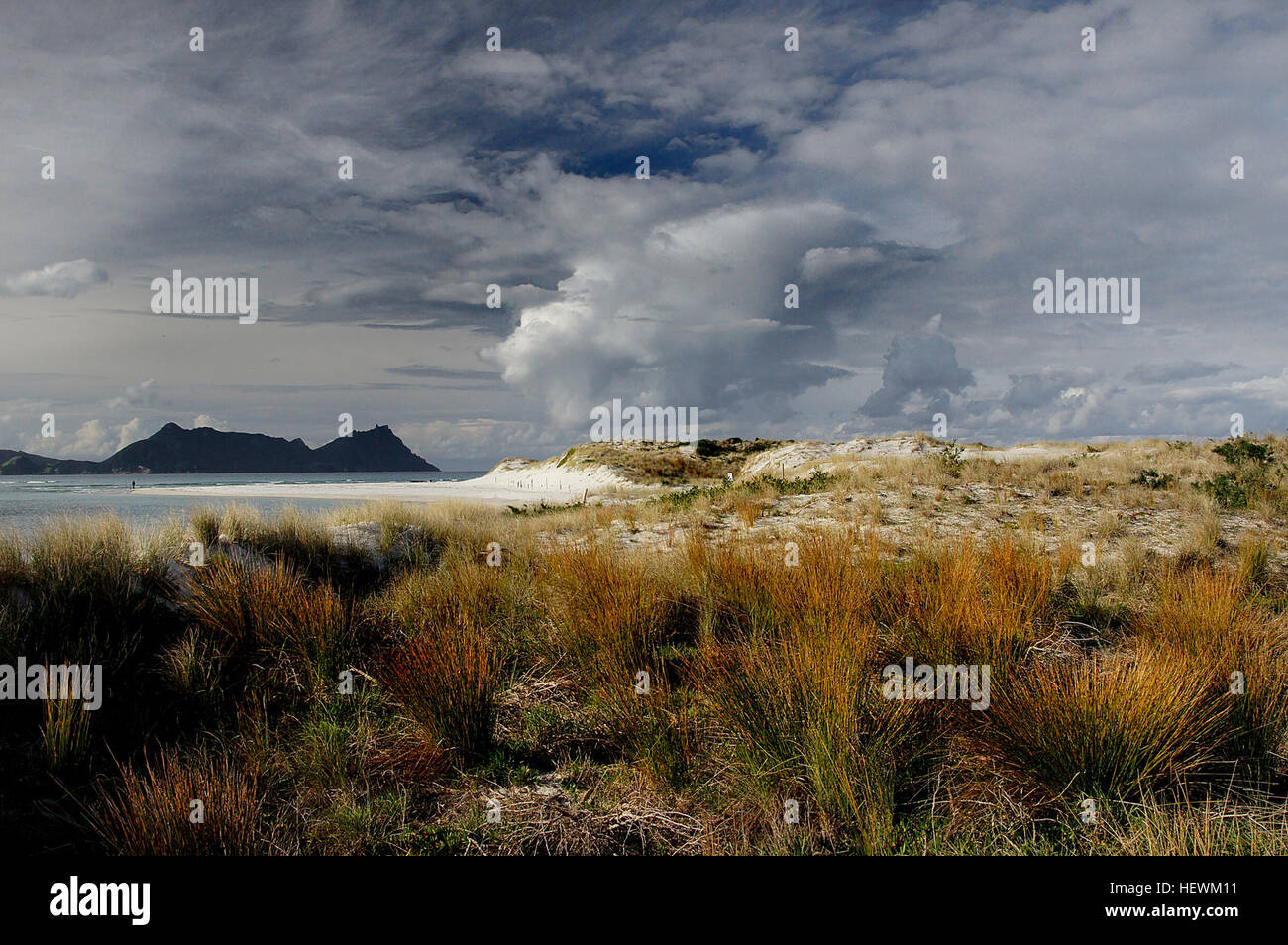 A photograph of Ruakaka Beach, New Zealand, taken with a Sony DSLR A580 ...