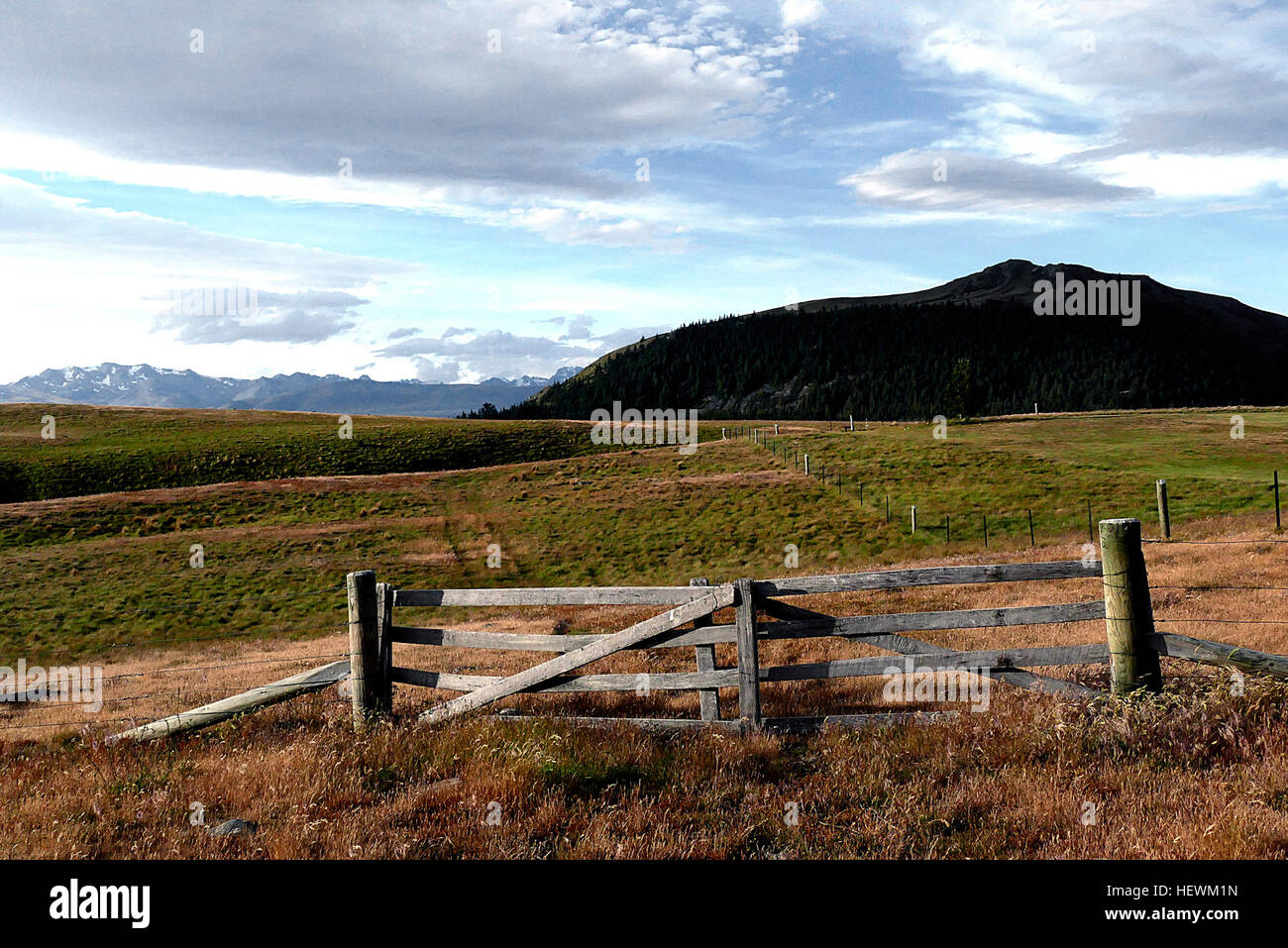 This image showcases a rural landscape, captured using a Lumix FZ1000 ...