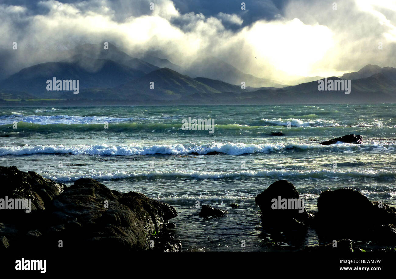 Maori language hi-res stock photography and images - Alamy