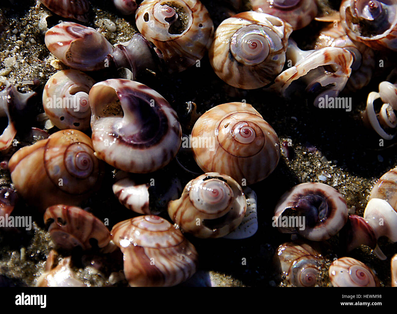 This photograph captures the serene beauty of the beach, highlighting ...