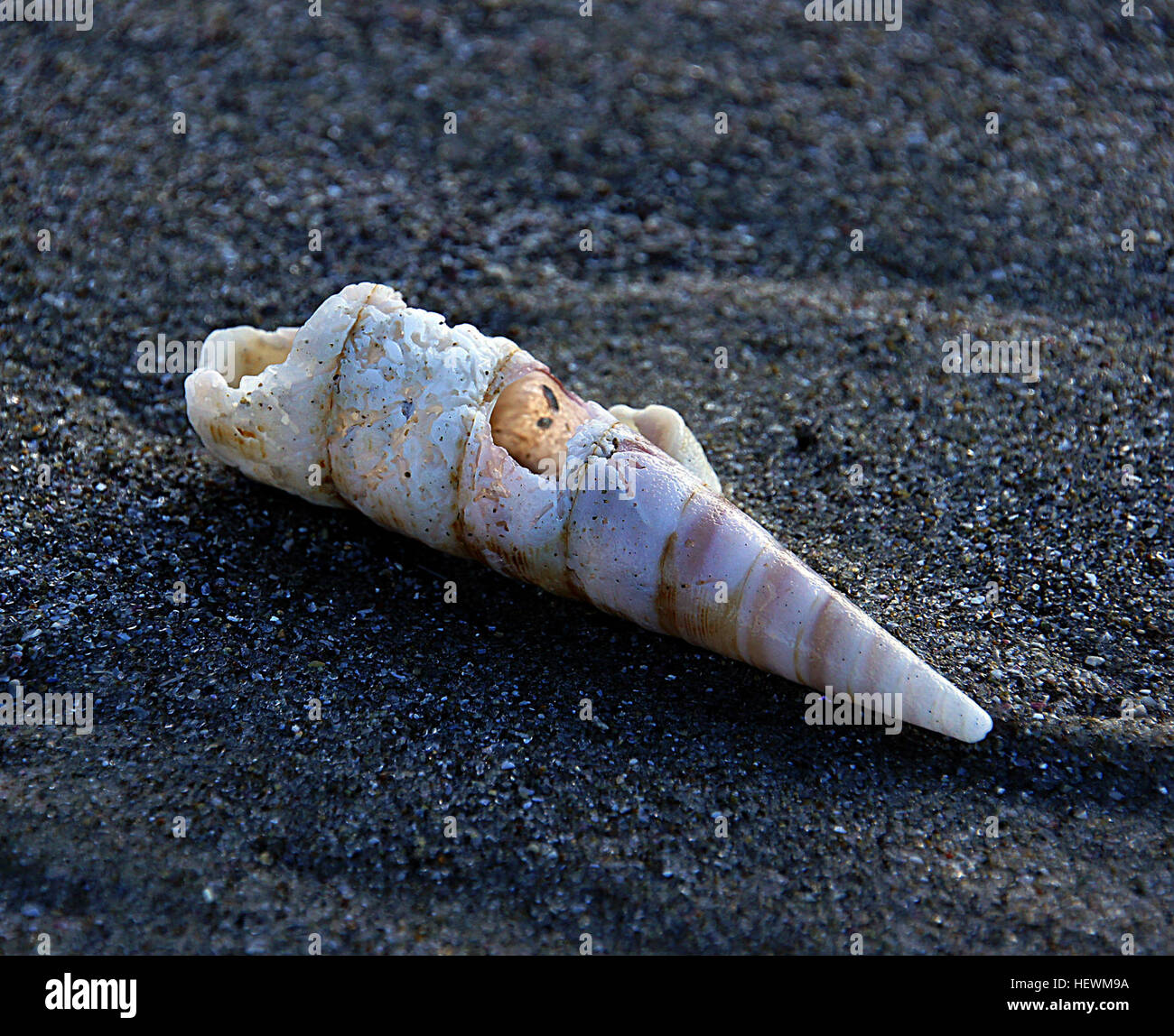 Photograph captures scene beach hi-res stock photography and images - Alamy