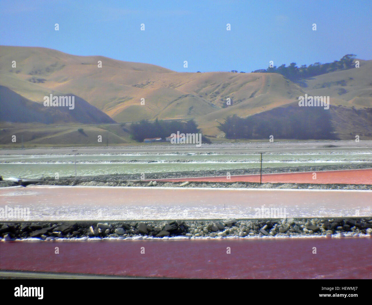 This image depicts the salt harvesting process at the Grassmere Salt ...