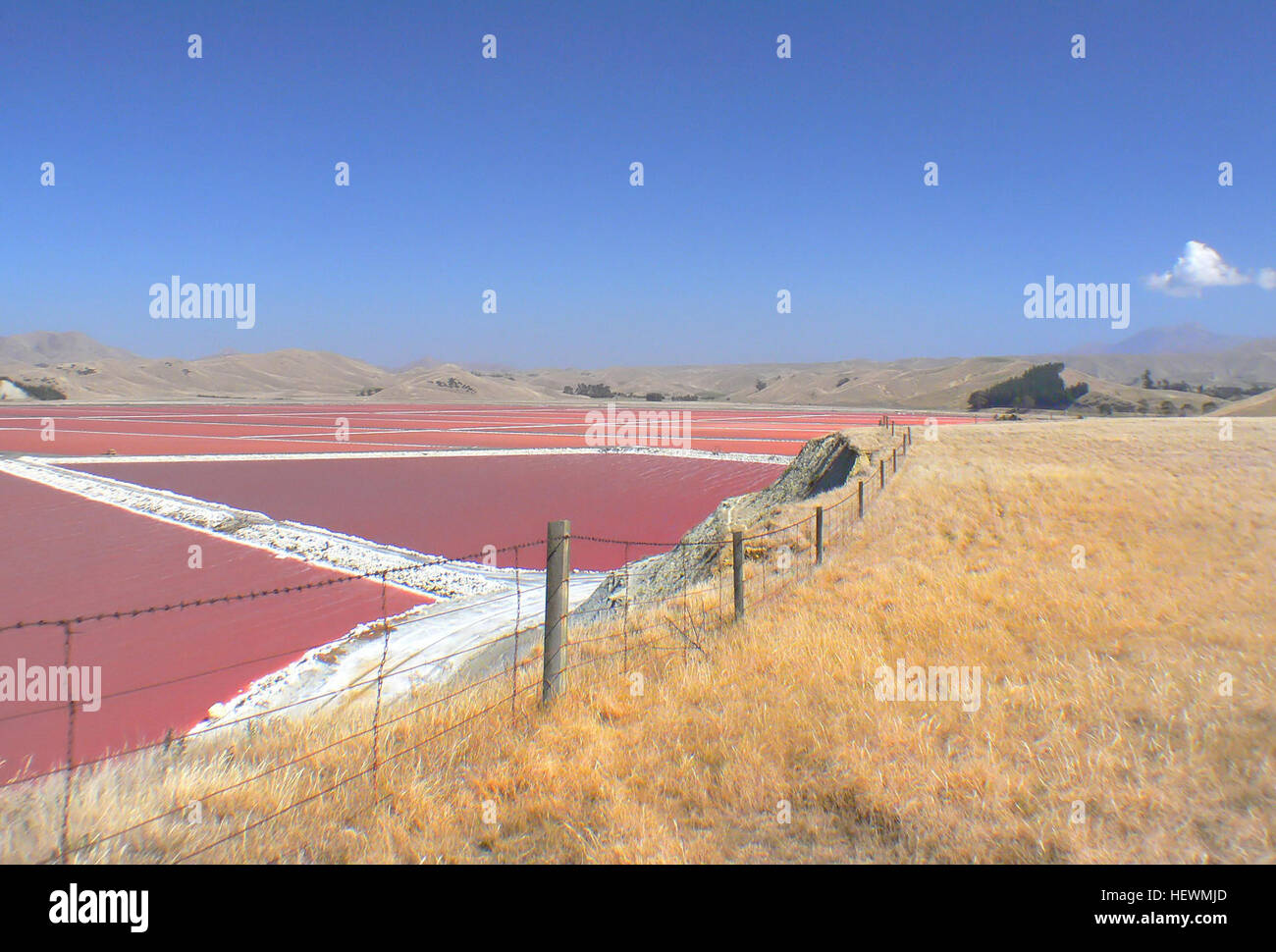 Dominion Salt operates the Grassmere Salt Works in New Zealand, where ...
