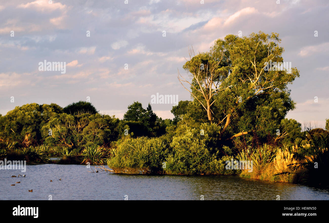 The Styx Mill Conservation Reserve, located in Christchurch, spans 57 ...