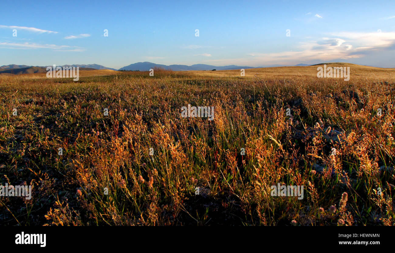 This photograph captures the serene beauty of the Canterbury landscape ...