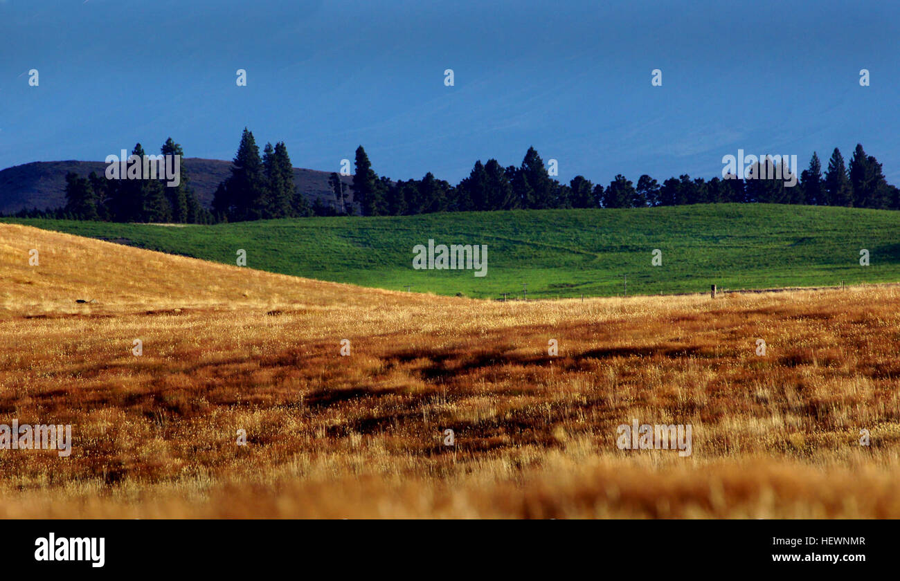 Photograph captures breathtaking beauty hi-res stock photography and ...