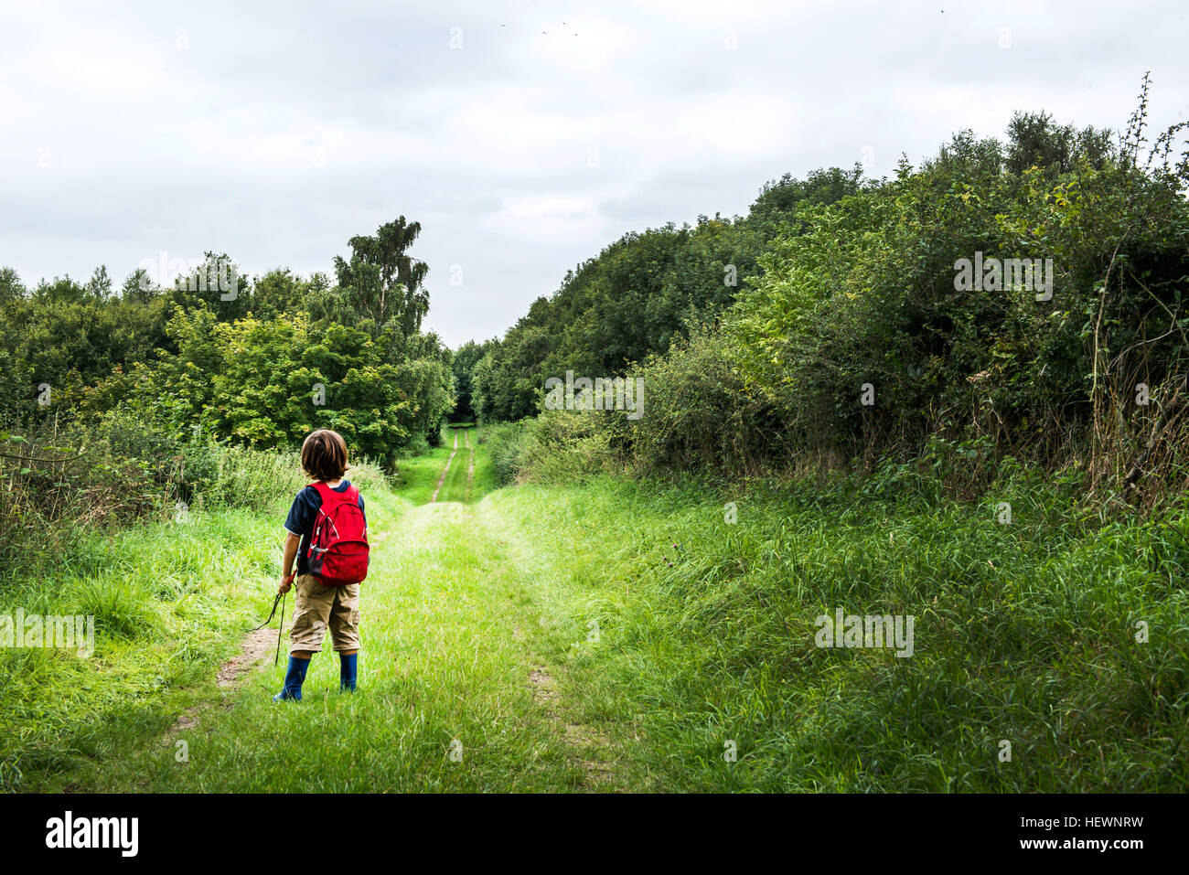 Child backpack rear view hi-res stock photography and images - Alamy