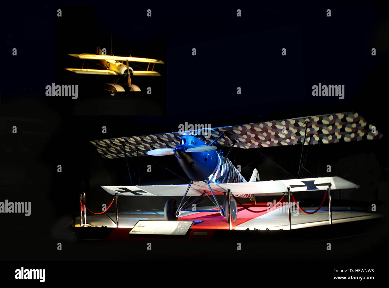 Extinct in 1960s hi-res stock photography and images - Alamy