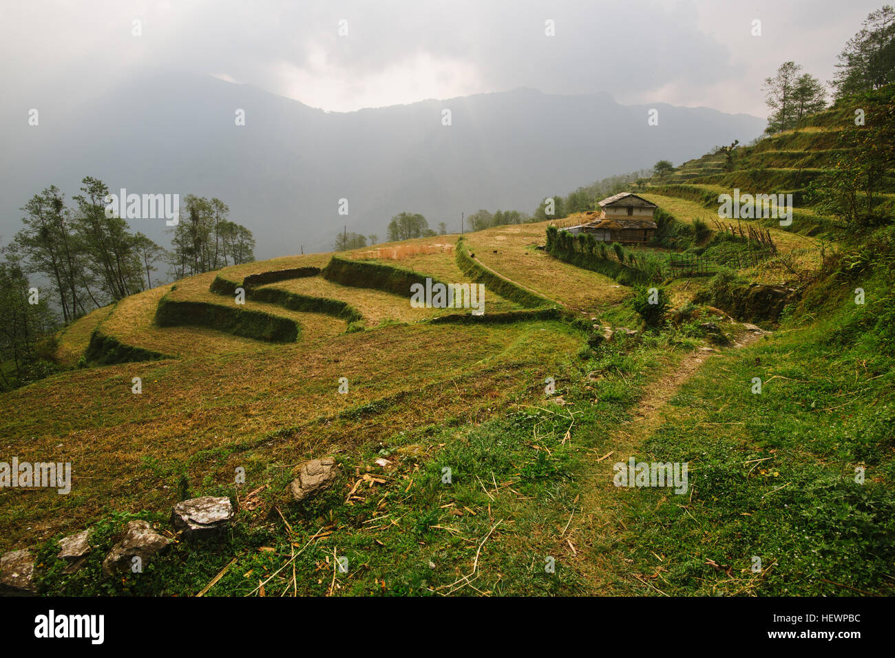 ABC trek (Annapurna Base Camp trek), Nepal Stock Photo - Alamy