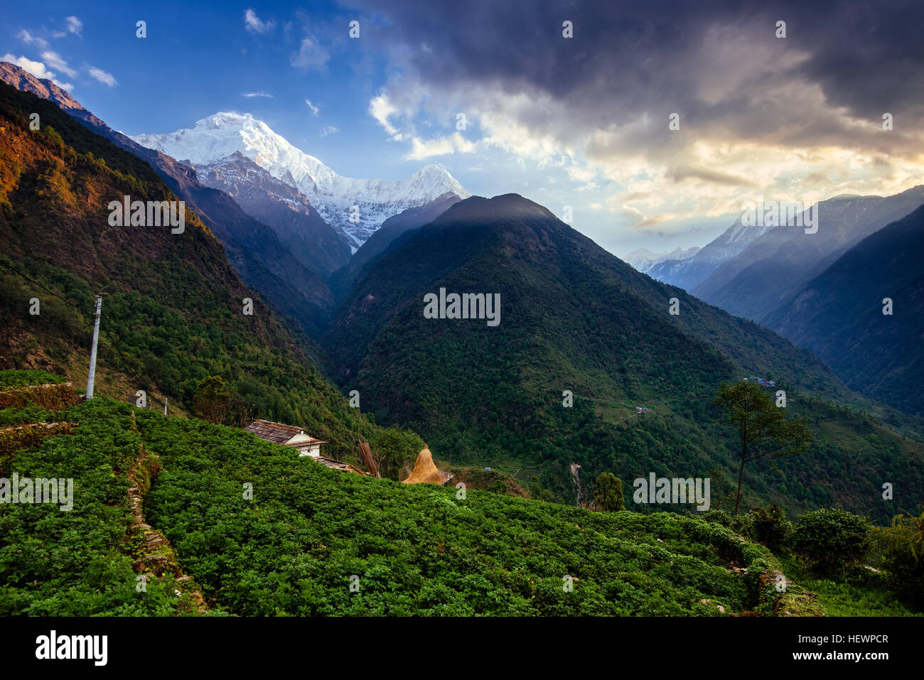 Chomrong Village Area, ABC trek (Annapurna Base Camp trek), Nepal Stock ...