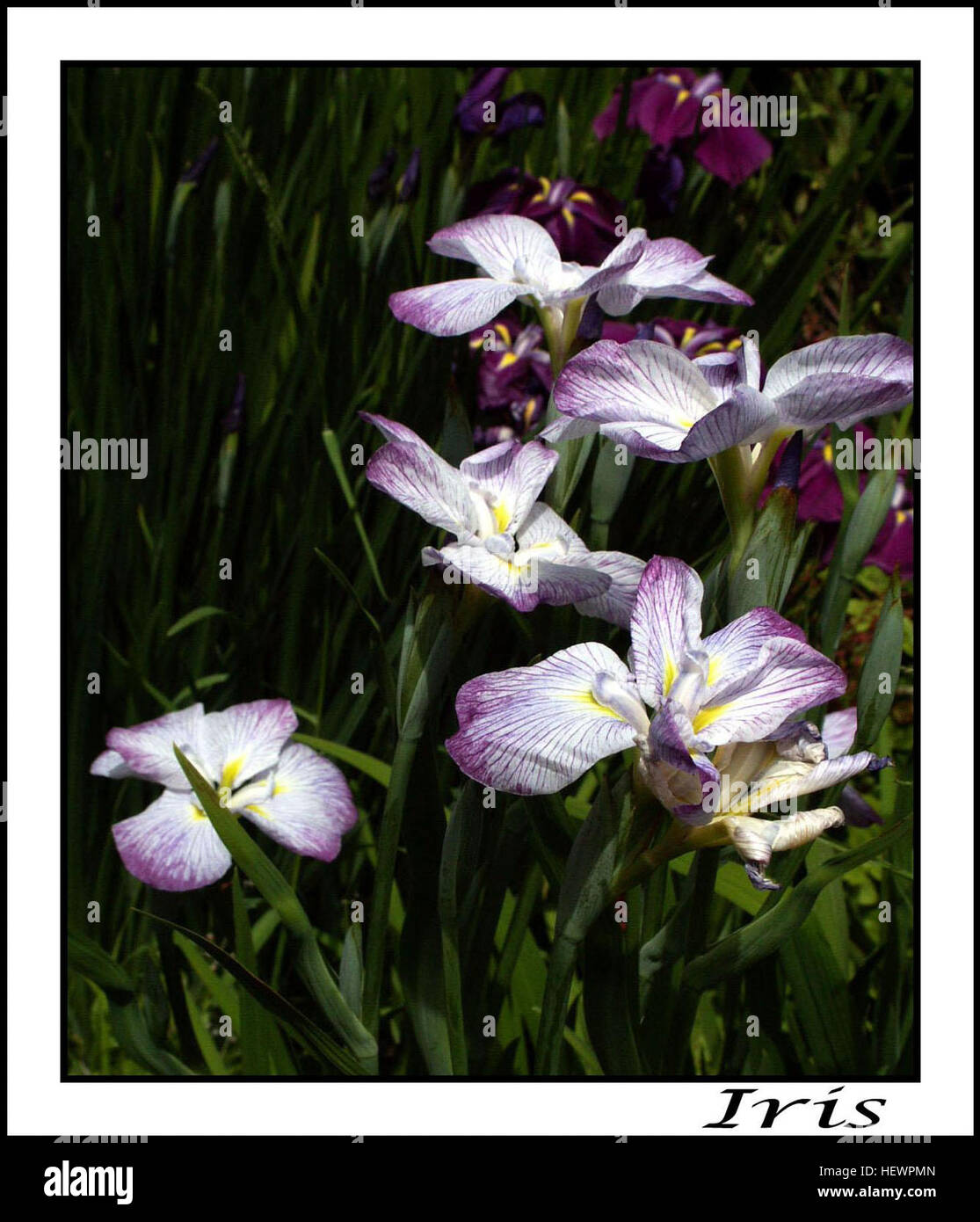 Method of moments hi-res stock photography and images - Alamy