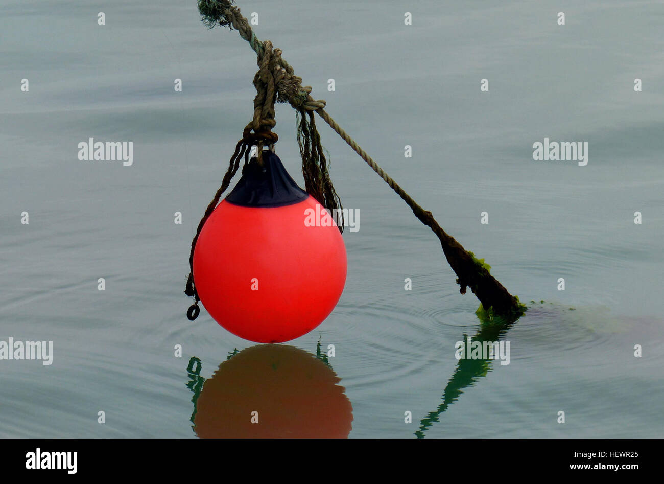 A buoy is a floating device used in various maritime applications ...