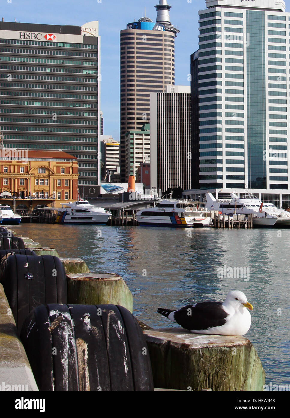 Auckland harbour ferries hi-res stock photography and images - Alamy