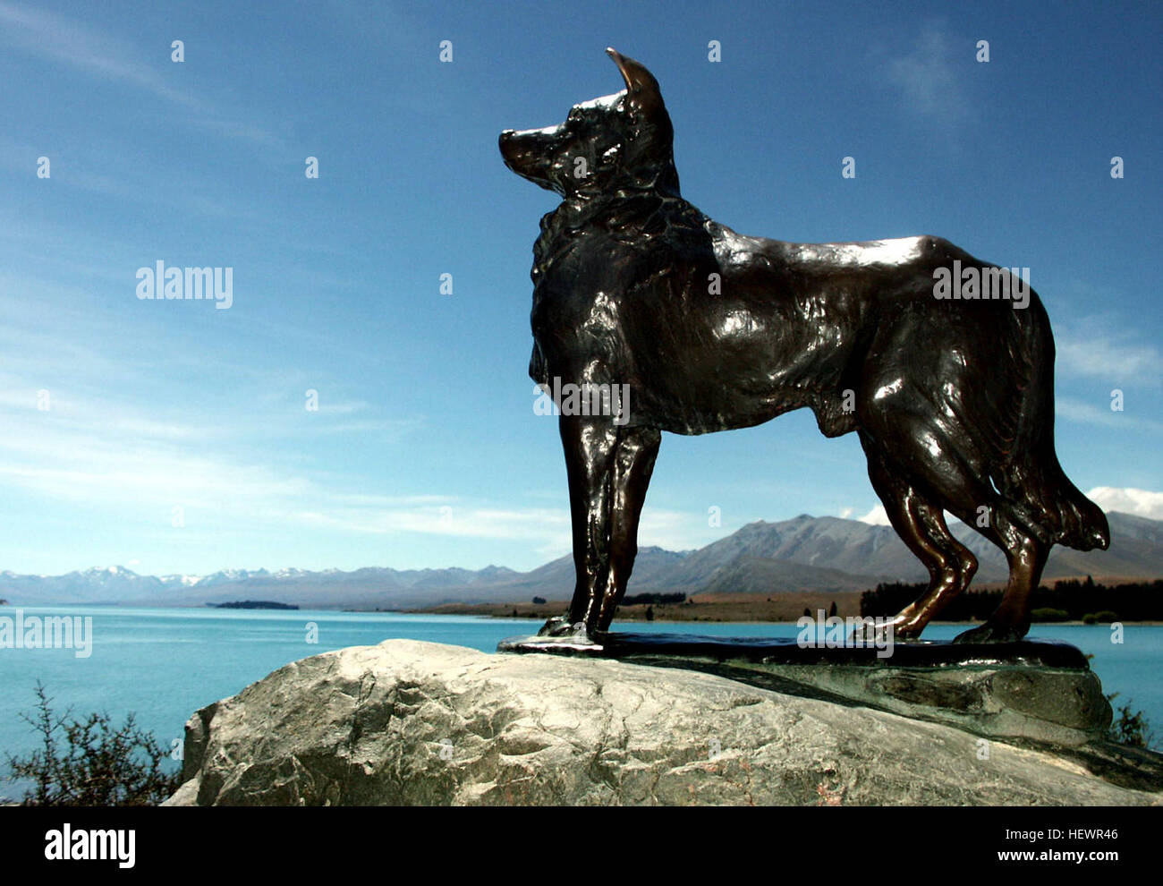 A statue of a border collie at Lake Tekapo honors the Scottish ...
