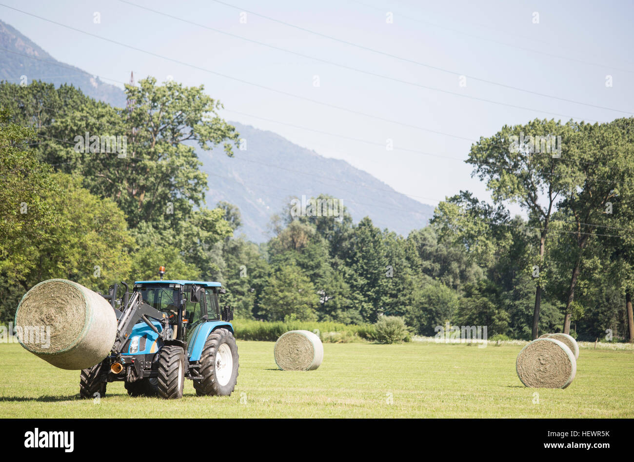 Harvesting tractor loading haystacks in field Stock Photo - Alamy