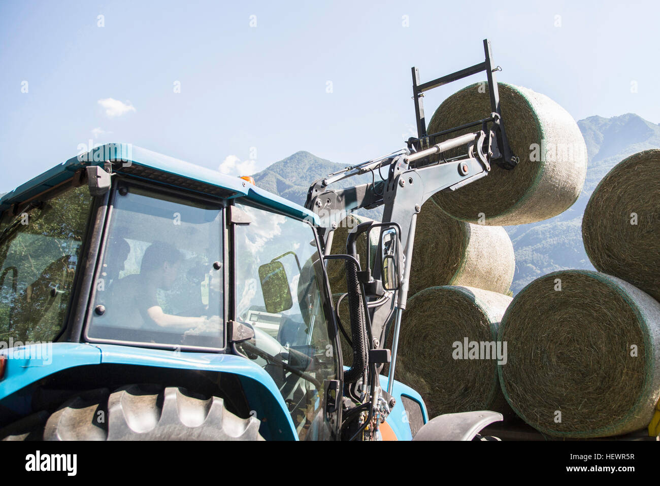 Harvesting tractor stacking circular haystacks Stock Photo - Alamy