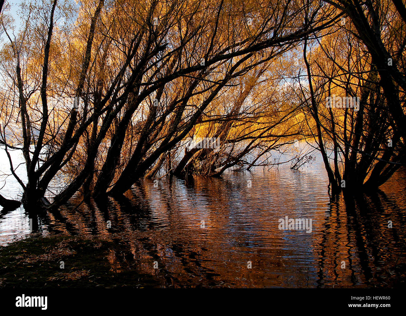 The photo captures the autumn landscape around Lake Tekapo, showcasing ...