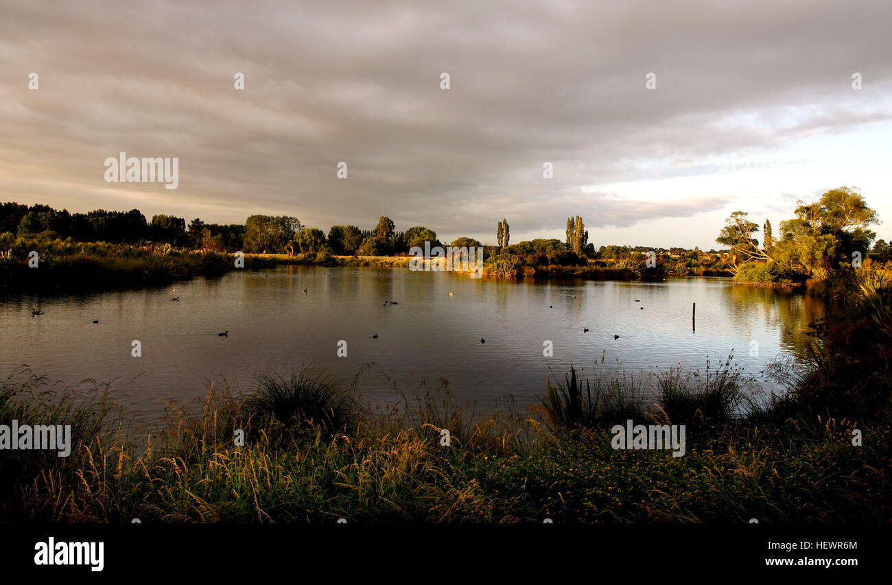 The Styx Mill Conservation Reserve, located just north of Christchurch ...