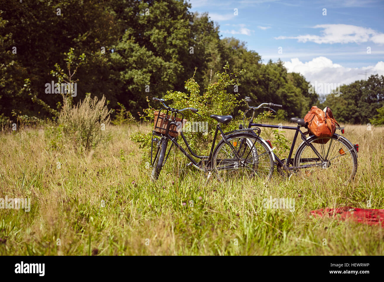 Two bicycles parked by bush in rural field Stock Photo - Alamy