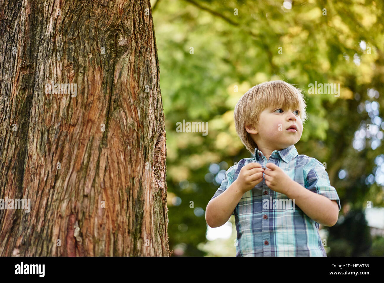 Boy near tree hi-res stock photography and images - Alamy