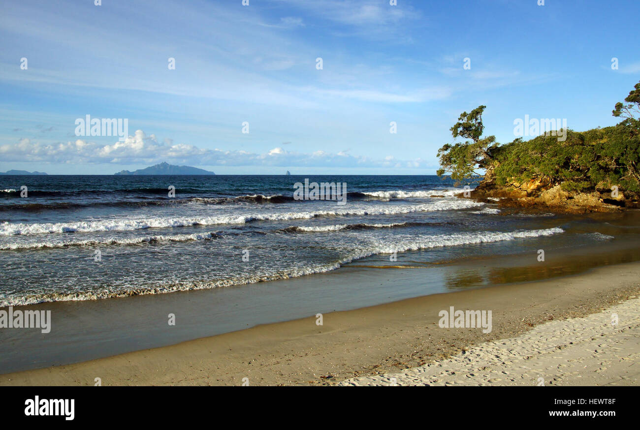 Bream Bay, located in Whangarei, New Zealand, is renowned for its ...
