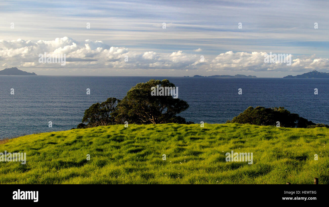 Bream Bay, located in New Zealand, is renowned for its pristine white ...