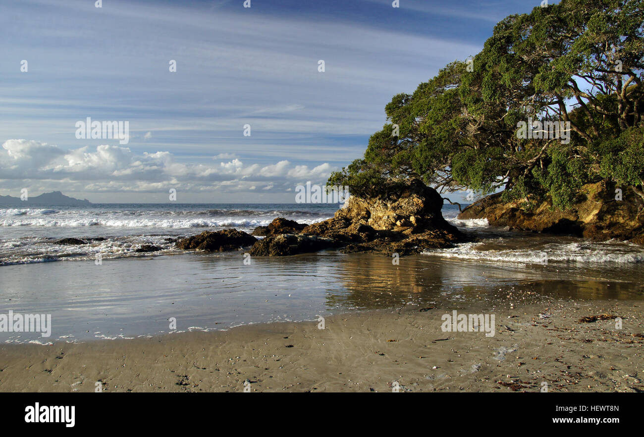 Bream Bay, located in Whangarei, New Zealand, is renowned for its ...
