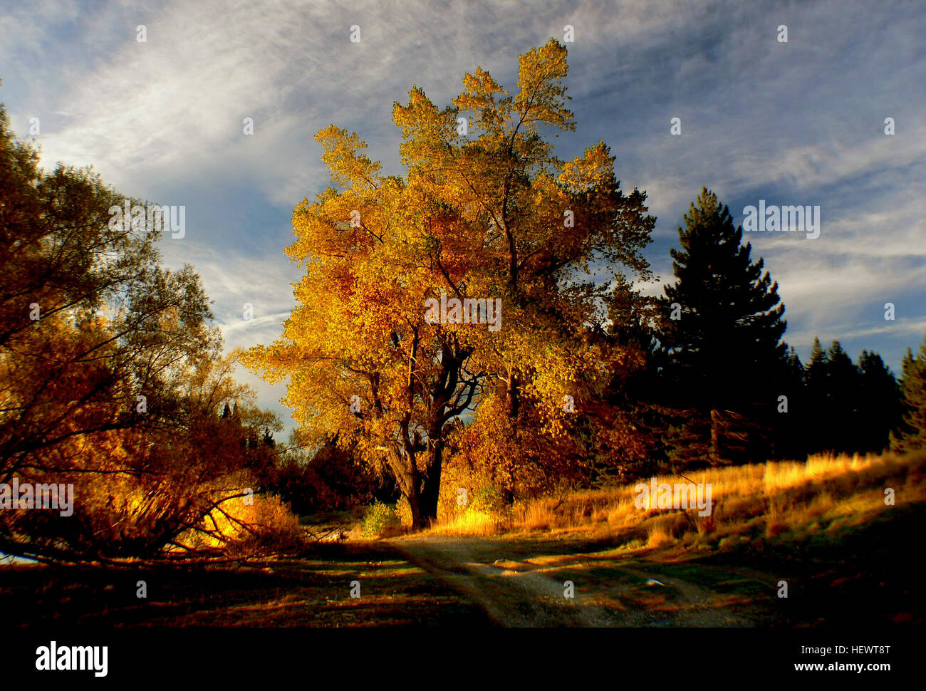 This autumn photograph captures the vivid colors of fall, showcasing ...