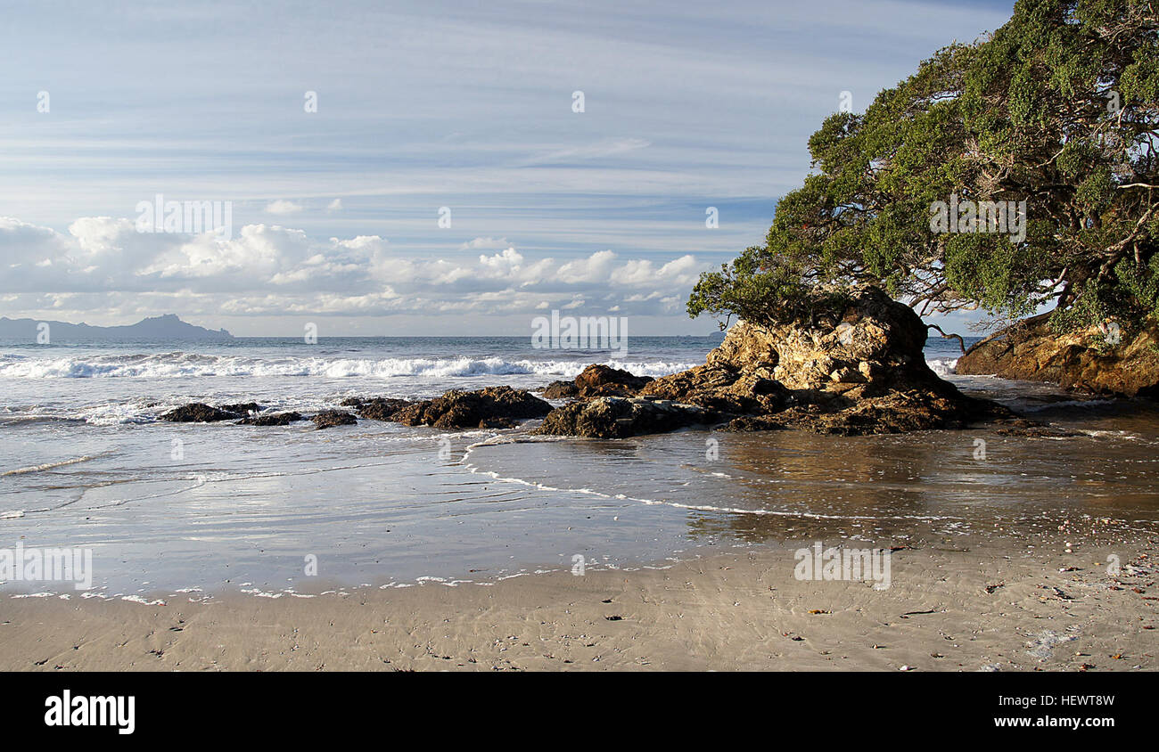 Bream Bay, located in New Zealand, is known for its pristine white ...