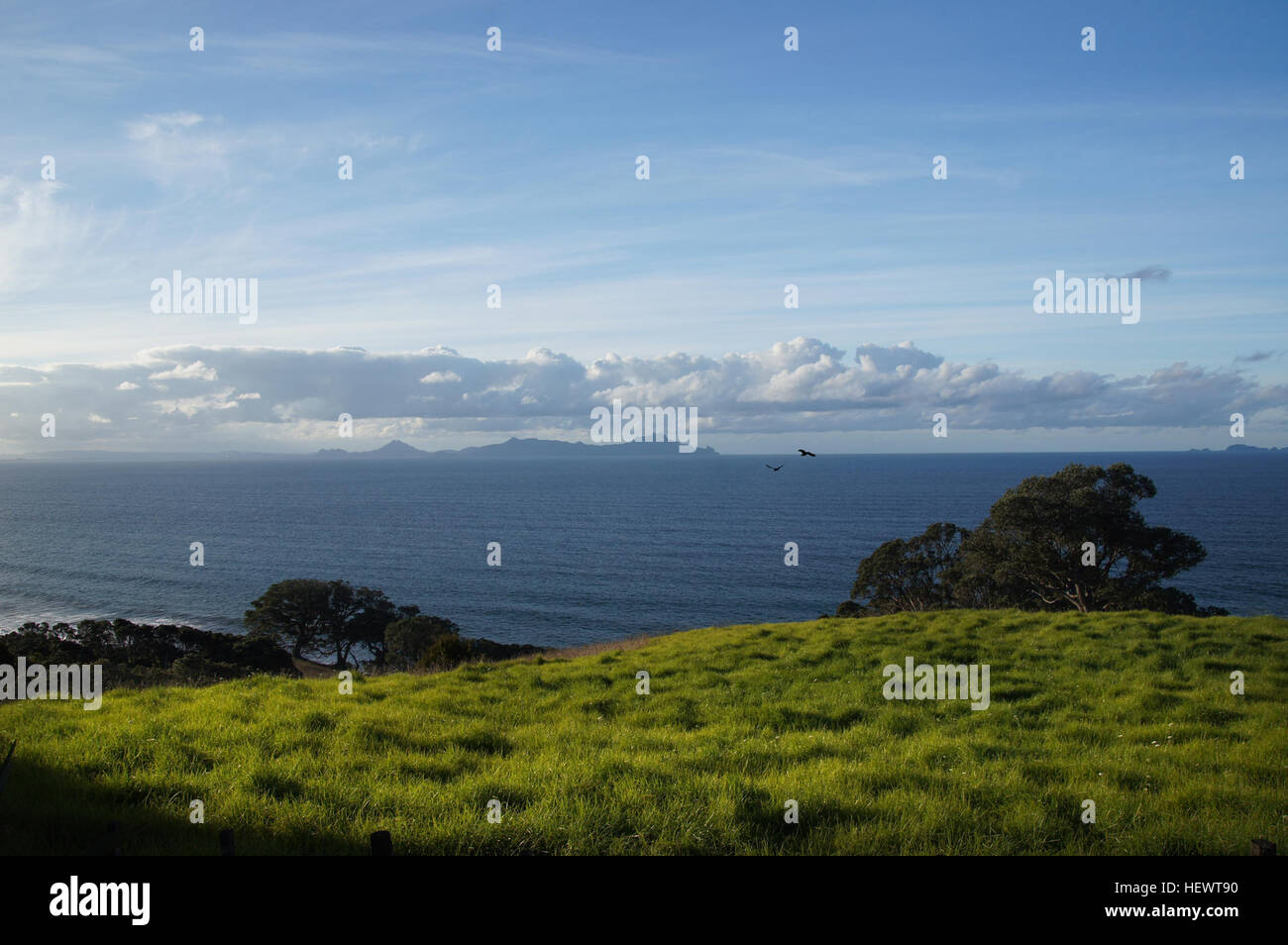 Whangarei beaches new zealand hi-res stock photography and images - Alamy