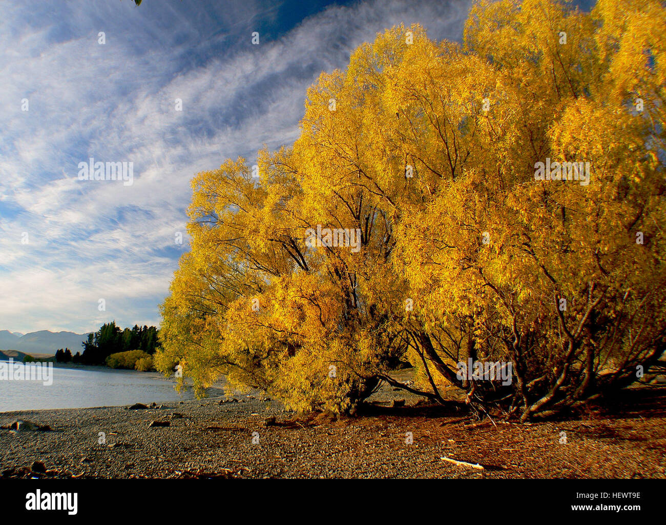 This autumnal photograph captures the vibrant colors of Canterbury, New ...