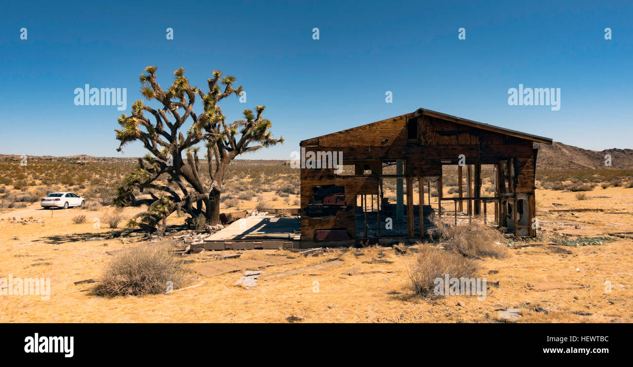 Broken shack hi-res stock photography and images - Alamy