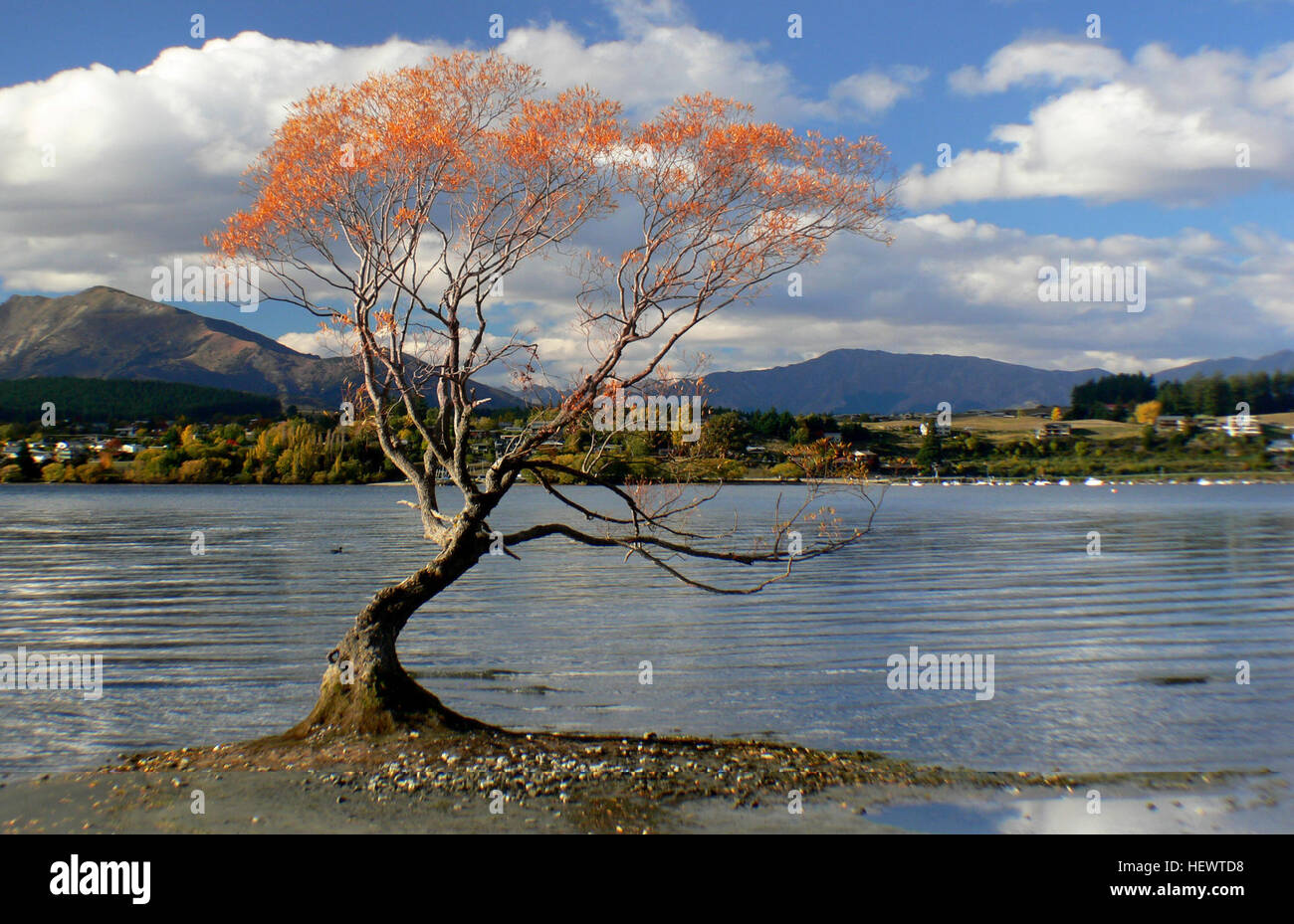 Photograph showcasing stunning natural hi-res stock photography and ...