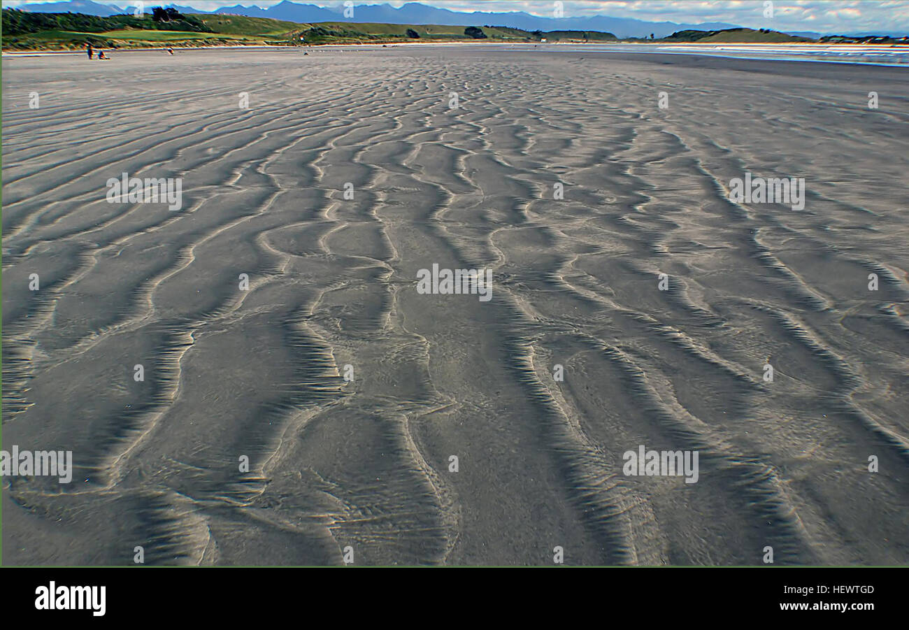 ,,Beaches,Drift wood,Ebb tide,New Zealand Beaches,New ZealandLow tide ...
