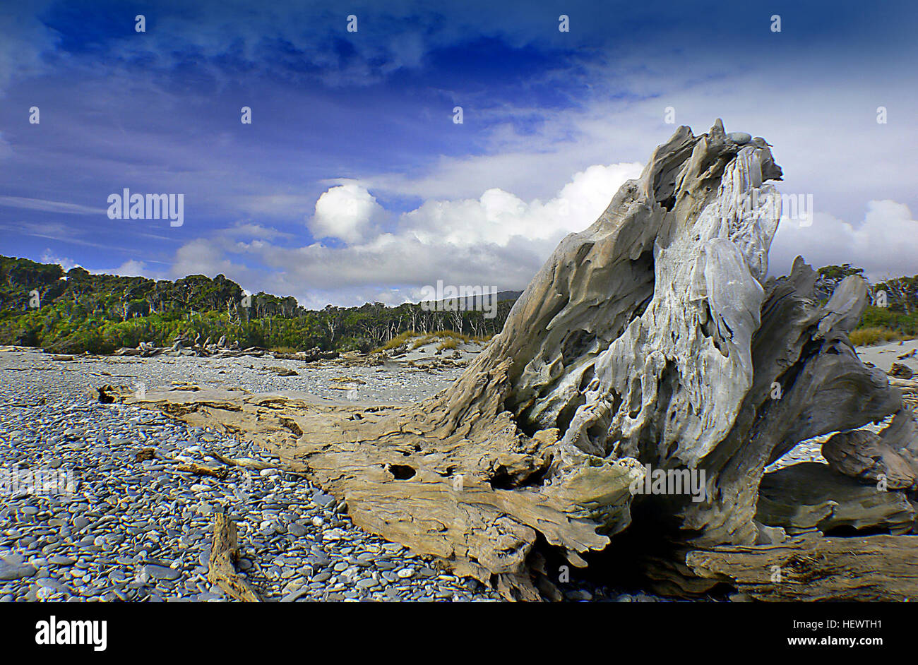 This image depicts a serene New Zealand beach scene, featuring a ...