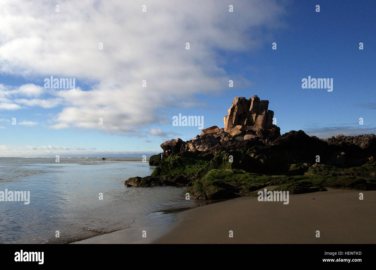 The photograph titled 'Shag Rock, Sumner' depicts a cloudy day at the ...